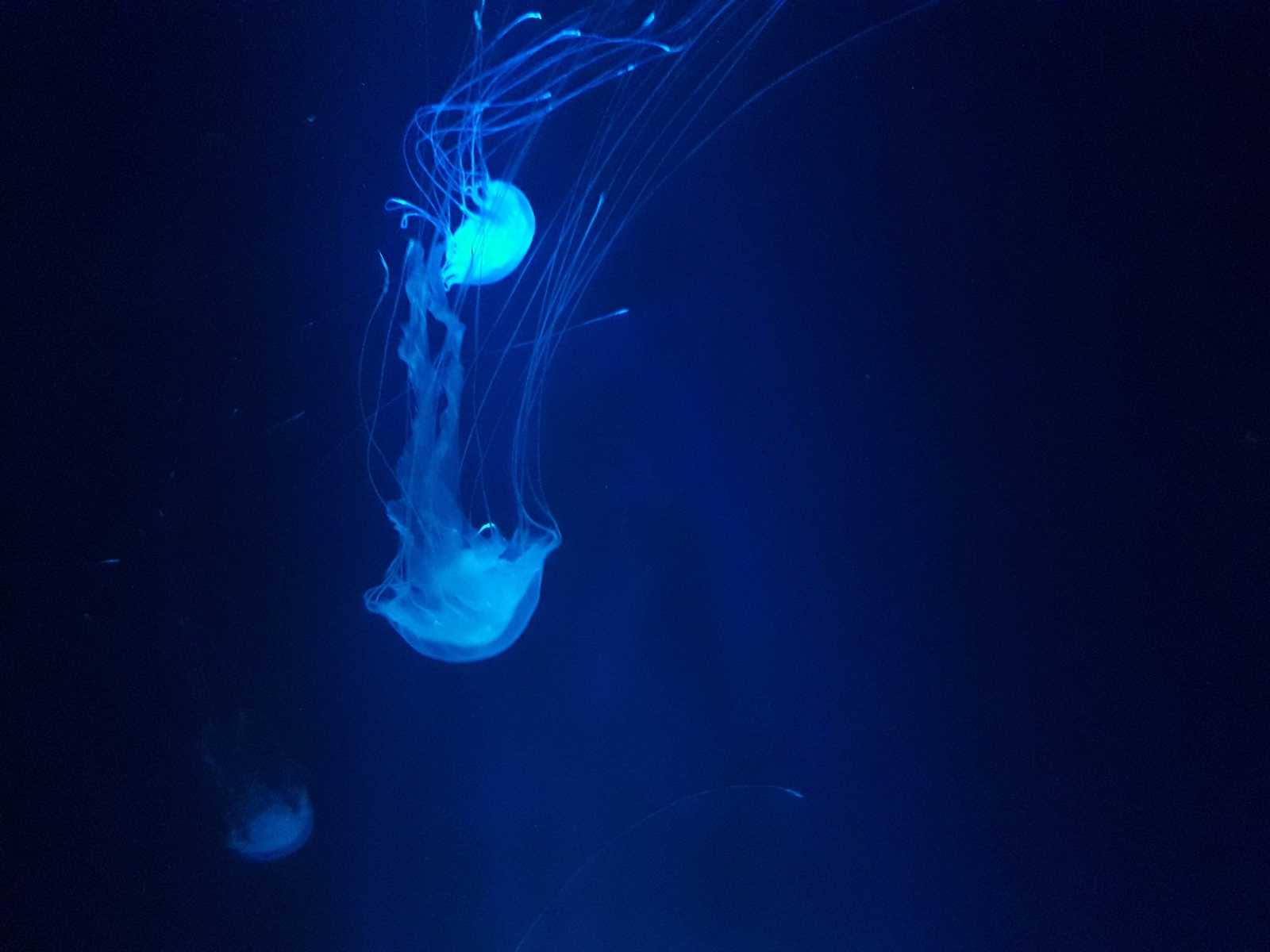 Box Shadow - Propriedade CSS | Johny W. Alves